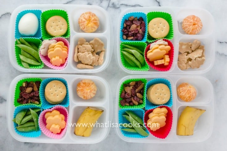 Over 30 Summer Camp Lunchbox Ideas - Family Fresh Meals
