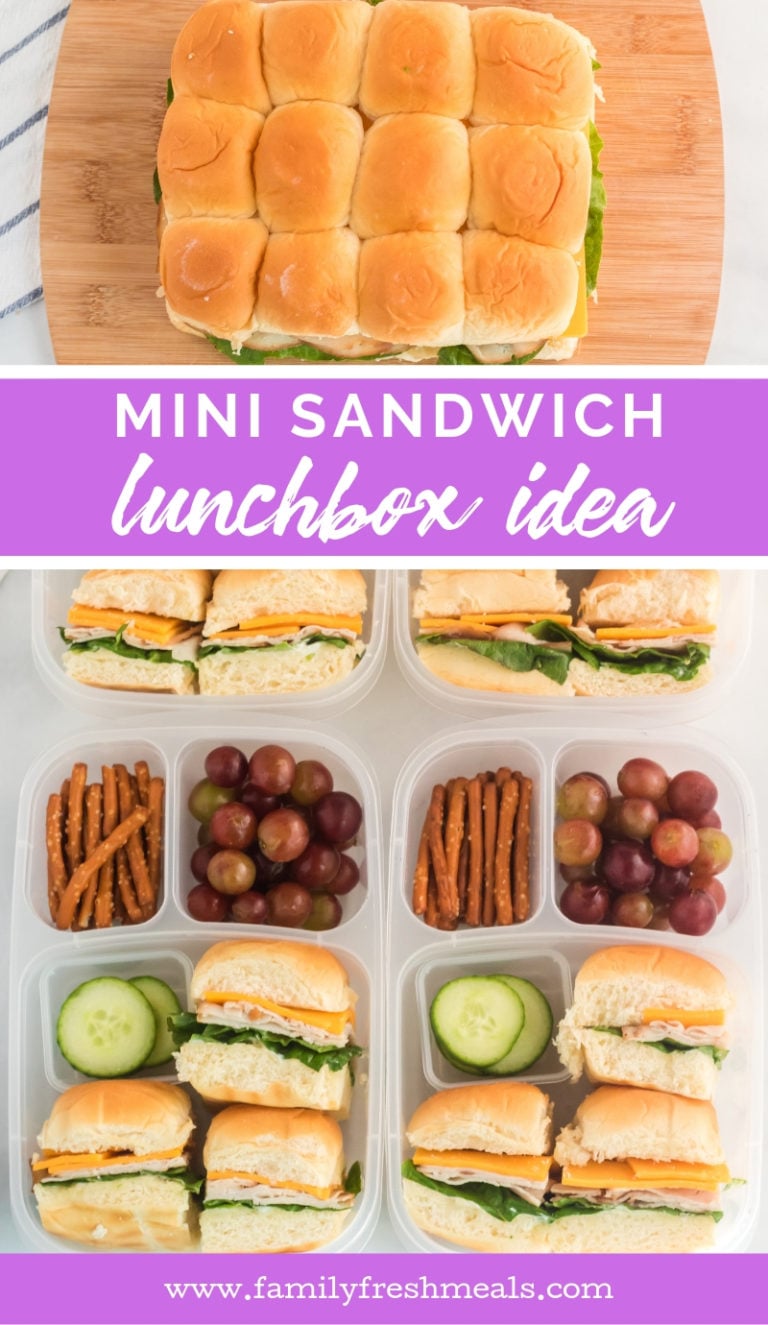Mini Sandwich Lunchbox Idea - Family Fresh Meals