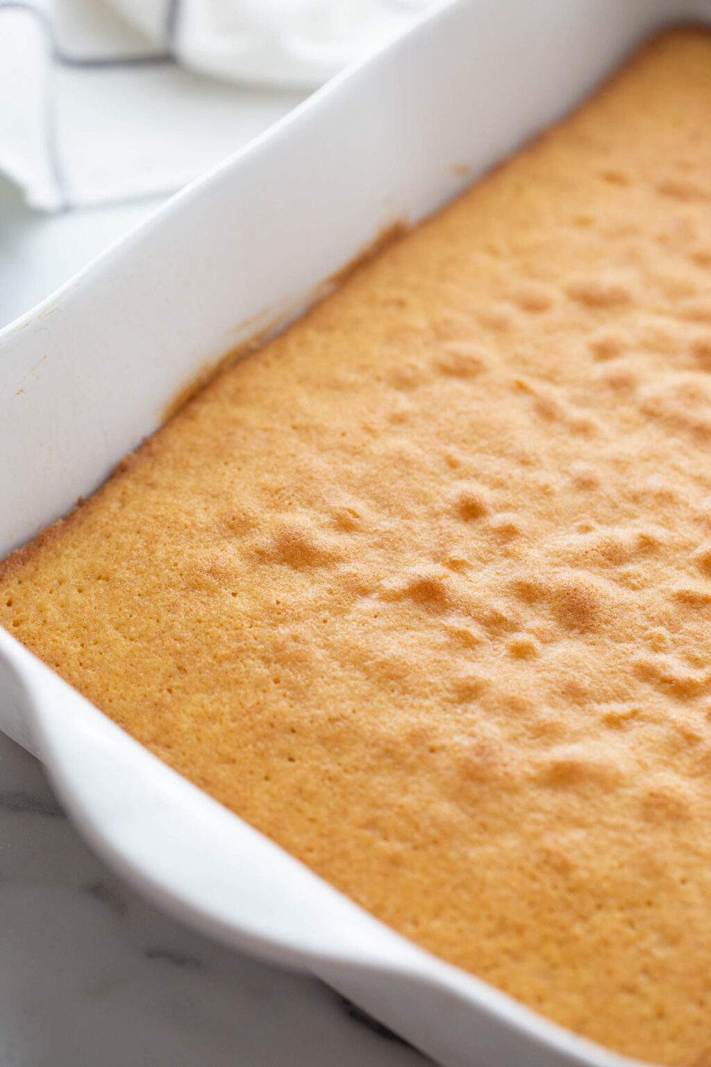Caramel Tres Leches Cake - Family Fresh Meals
