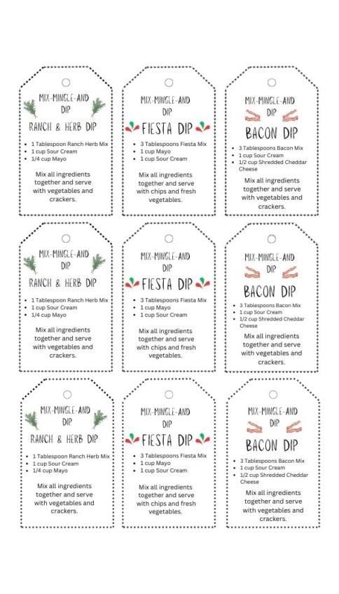Mason Jar Dry Dip Mixes with Free Printable - Family Fresh Meals