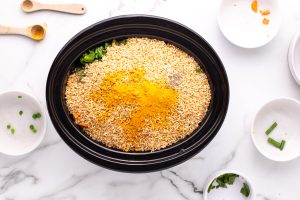 Homemade Slow Cooker Dog Food - Family Fresh Meals