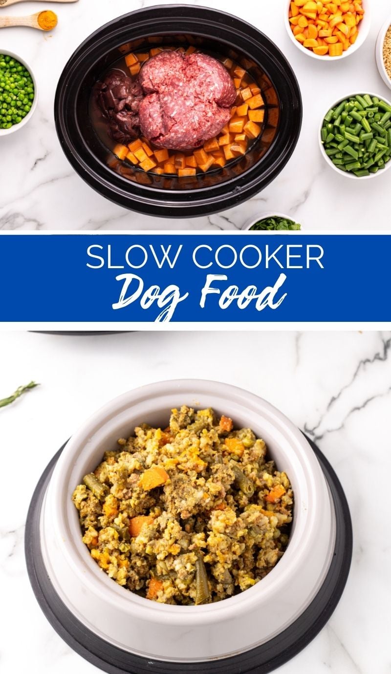 Homemade Slow Cooker Dog Food - Family Fresh Meals