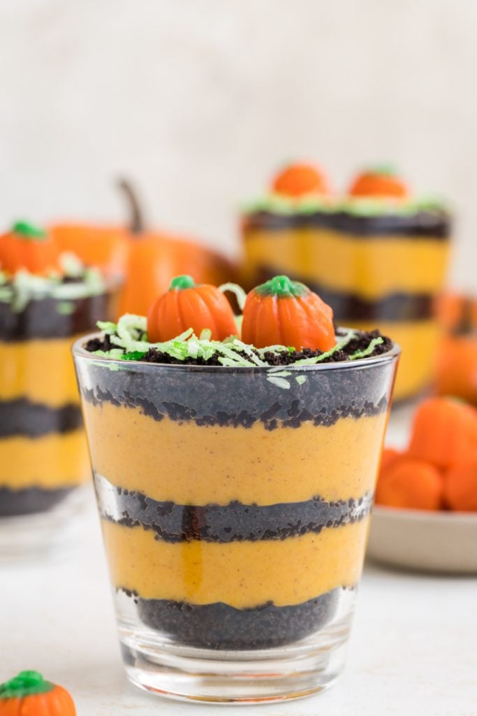 Pumpkin Patch Pudding Cups - Family Fresh Meals