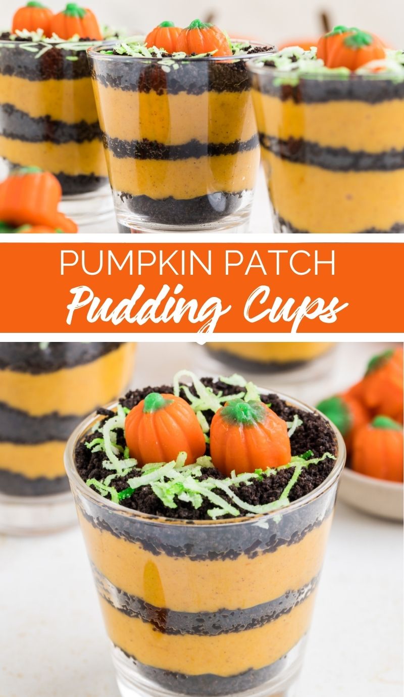 Pumpkin Patch Pudding Cups - Family Fresh Meals