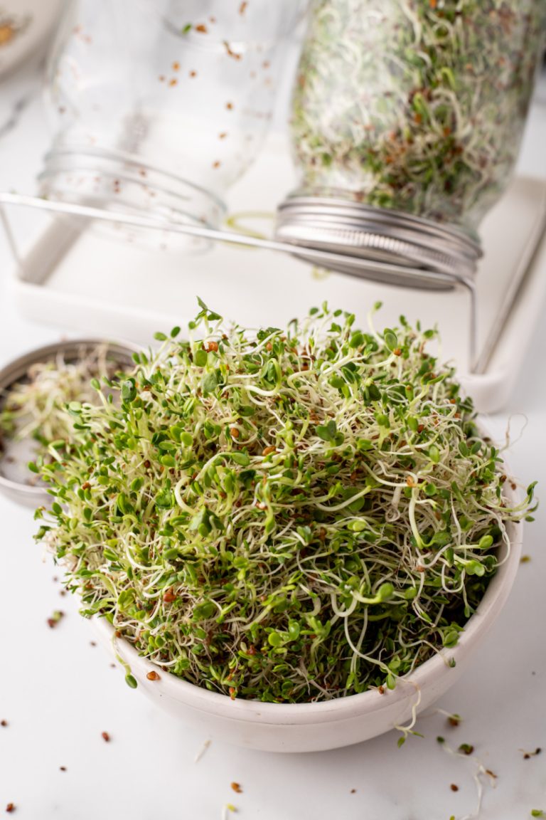 How to Grow Micro Sprouts - Family Fresh Meals