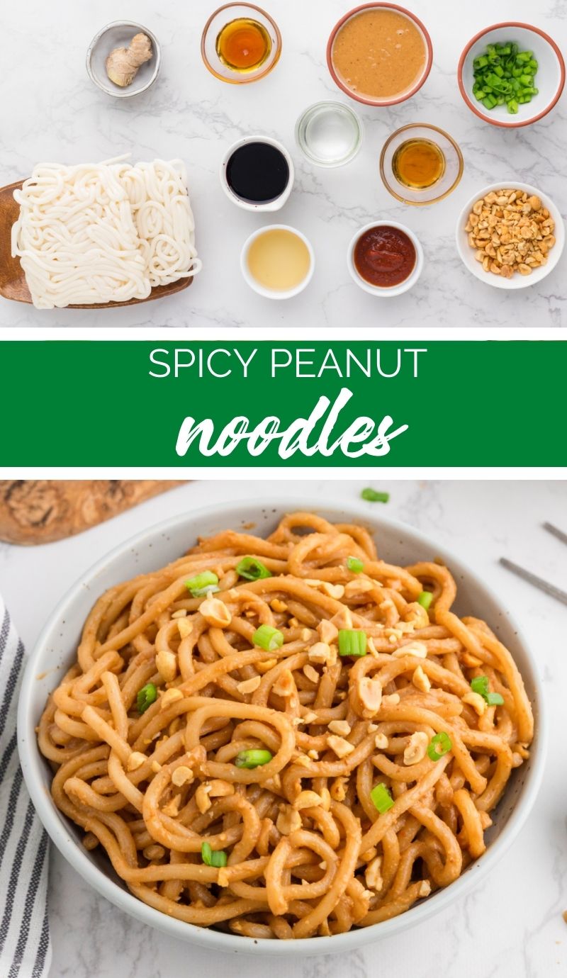 Spicy Peanut Noodles - Family Fresh Meals